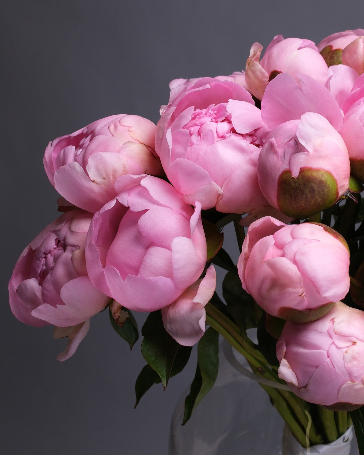 Fresh Peonies Near Me | San Francisco Same-Day Delivery | Flower Icon